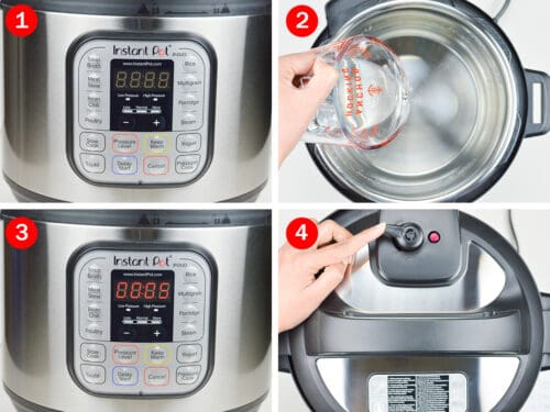 Instant Pot Water Test | How to do Water Test for Instant Pot (with ...